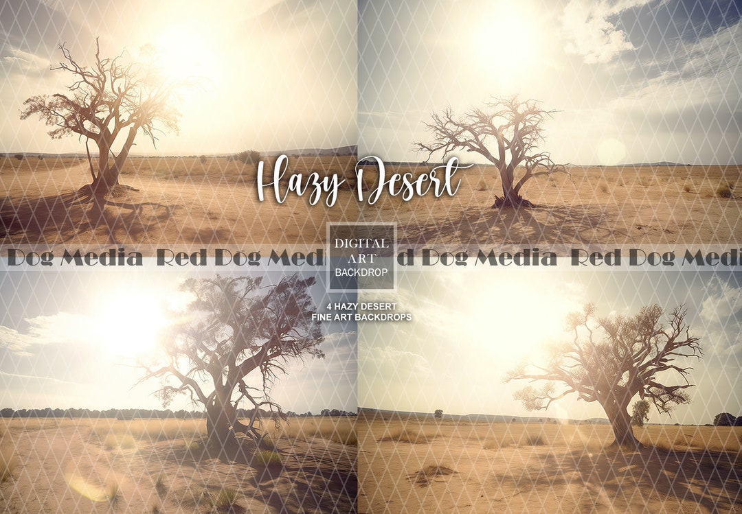 4 Hazy Desert Fine Art Backdrop, Desert Backdrop, Desert Fine Art ...