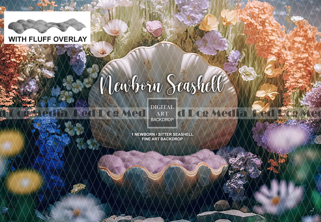 Seashell Newborn / Sitter Backdrop PLUS Fluff Overlay, Newborn Carriage ...