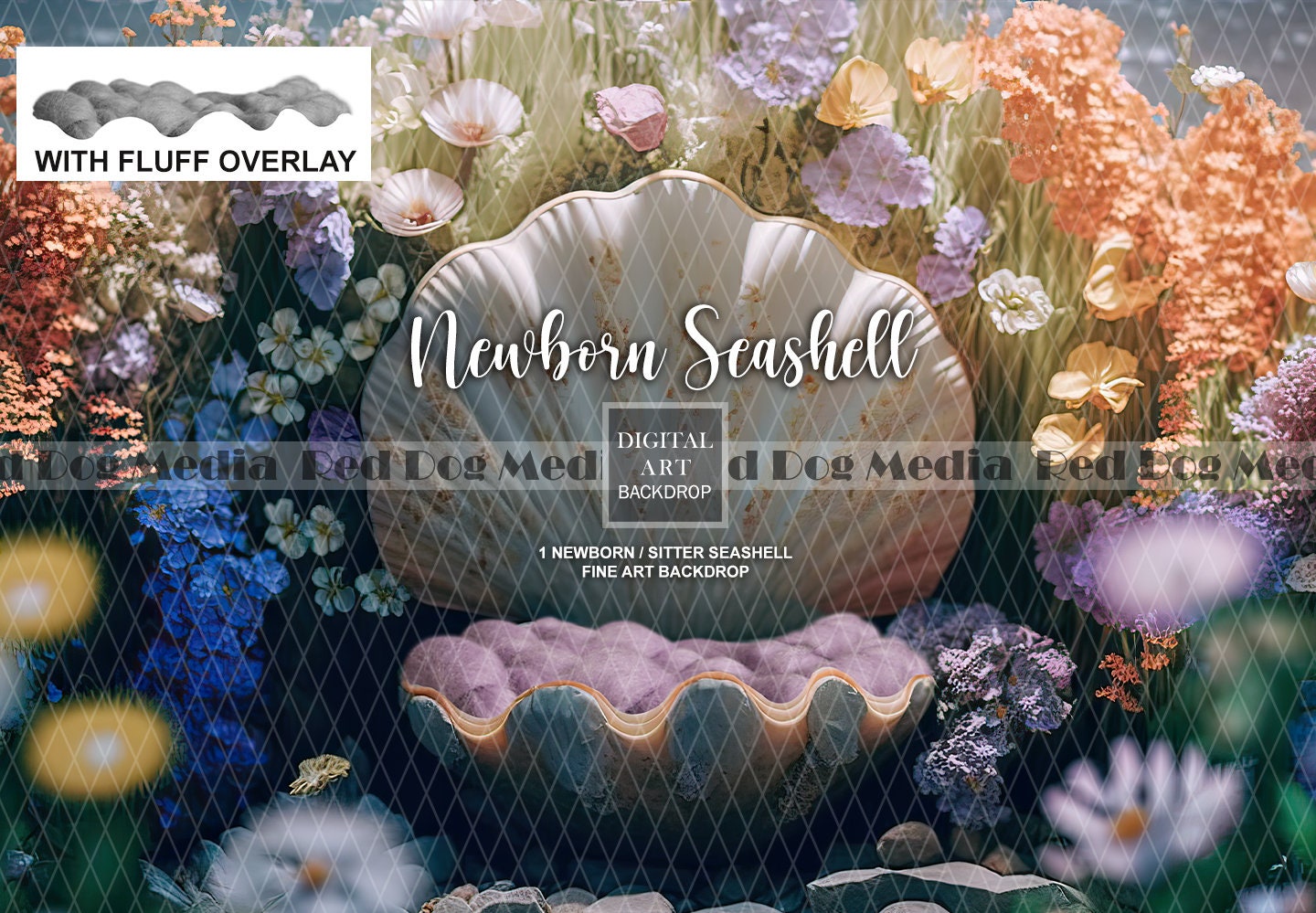 Seashell Newborn / Sitter Backdrop PLUS Fluff Overlay, Newborn Carriage ...
