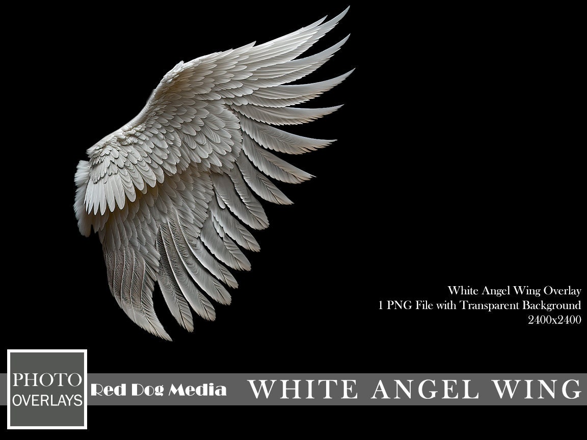 White Angel Wing Wings Overlay Photoshop Overlay Photoshop - Etsy