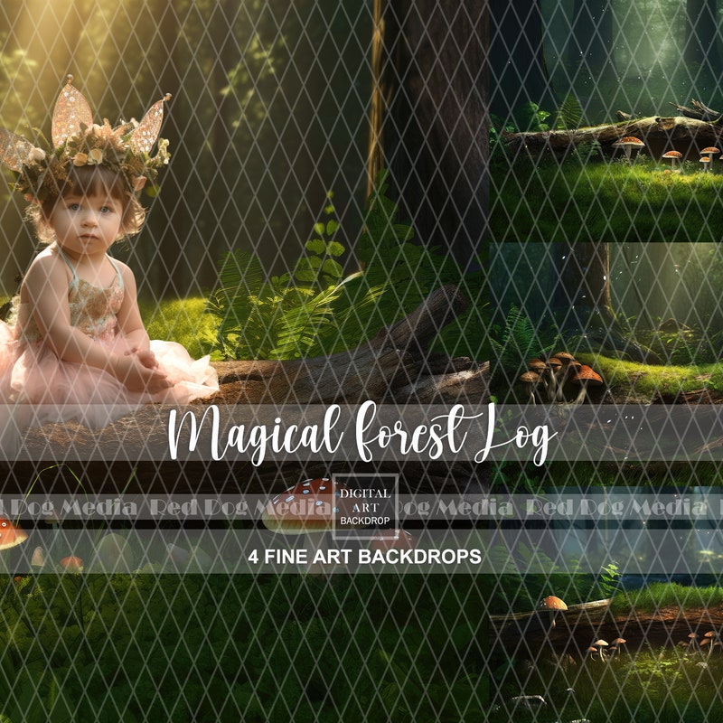 Forest Backdrop - Etsy