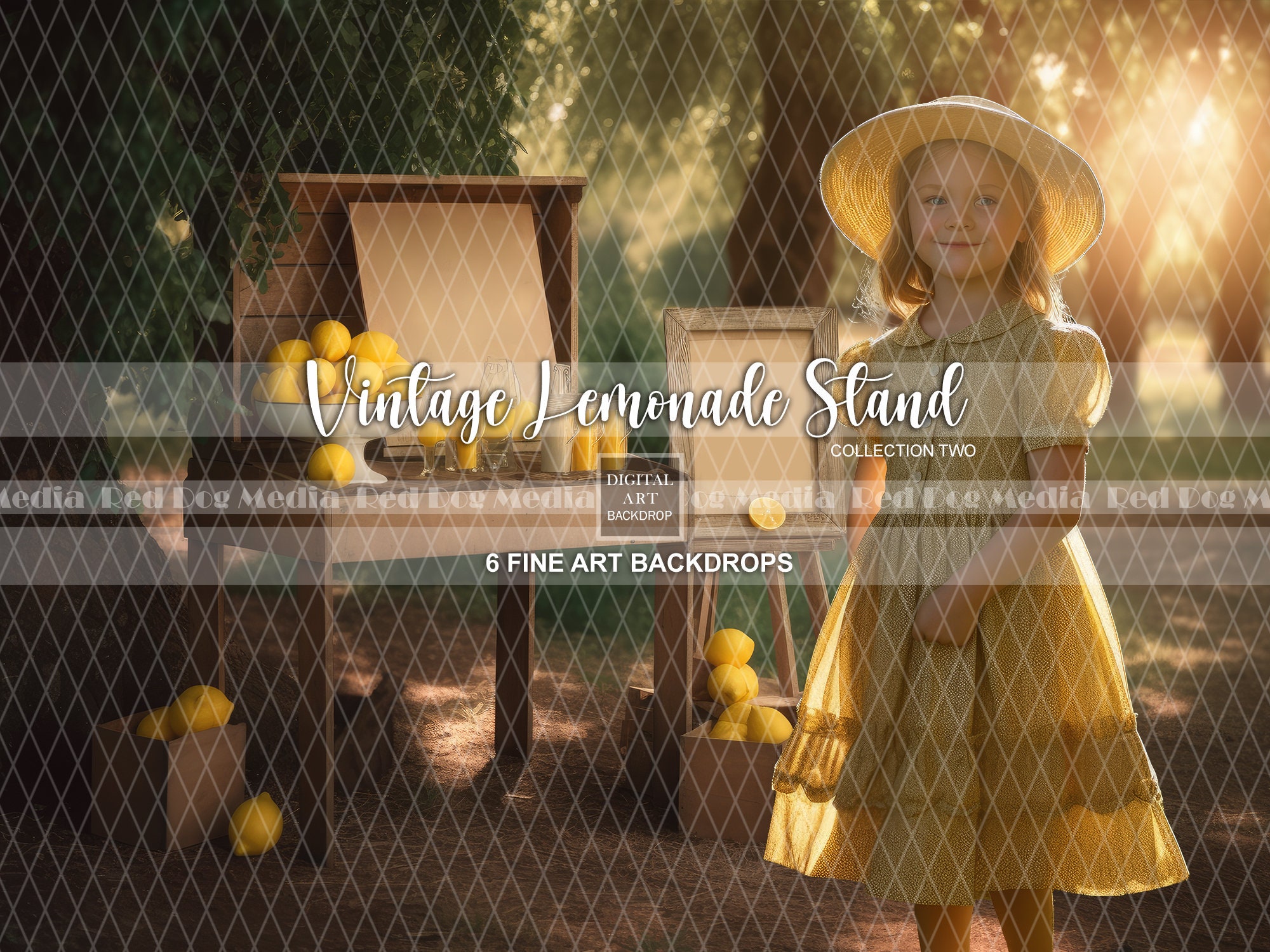 7 Vintage Lemonade Stand Fine Art Backdrops Fine Art Digital Backdrop