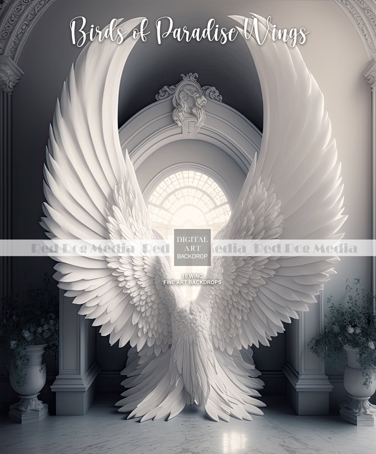 10 Wing Fine Art Backdrops Collection Two Fine Art Digital - Etsy