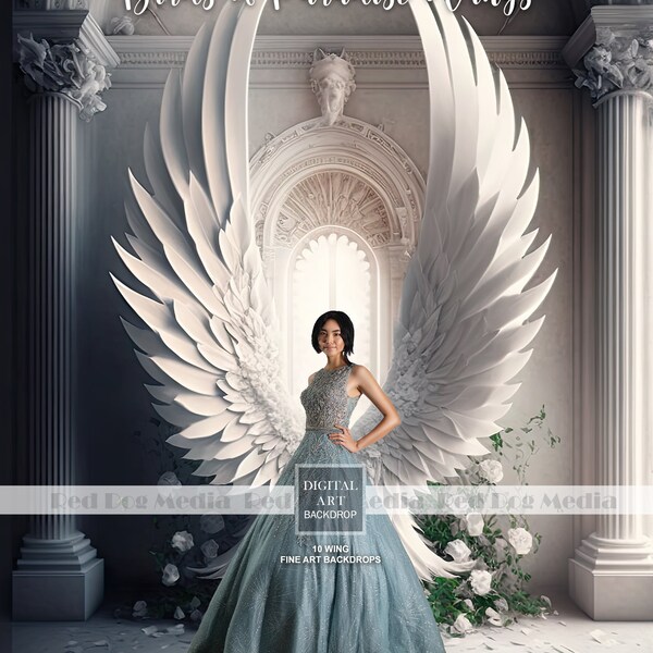 Wing Photo Backdrop - Etsy