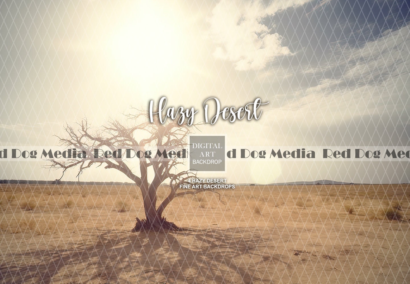 4 Hazy Desert Fine Art Backdrop, Desert Backdrop, Desert Fine Art ...