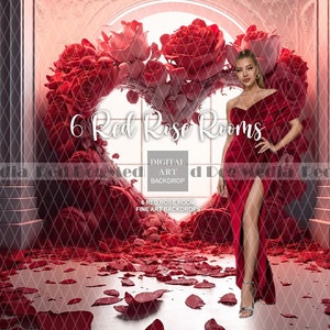 6 Red Rose Room Fine Art Backdrops White Window Collection - Etsy