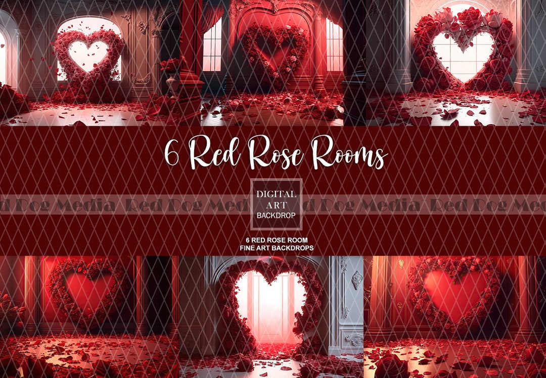 6 Red Rose Room Fine Art Backdrops White Window Collection - Etsy
