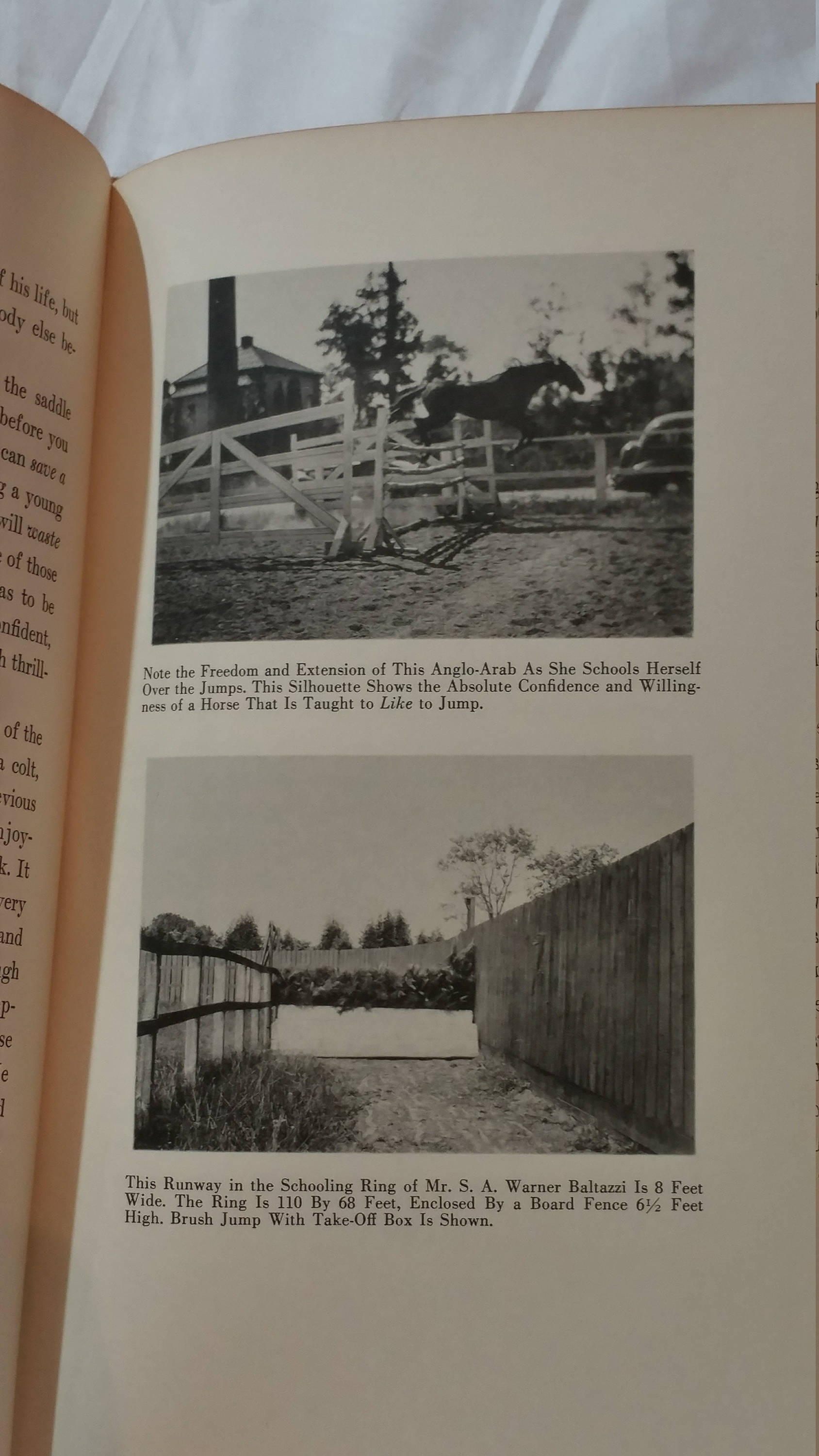 Antique Book Breeding Your Own or Raising Colts for Pleasure - Etsy