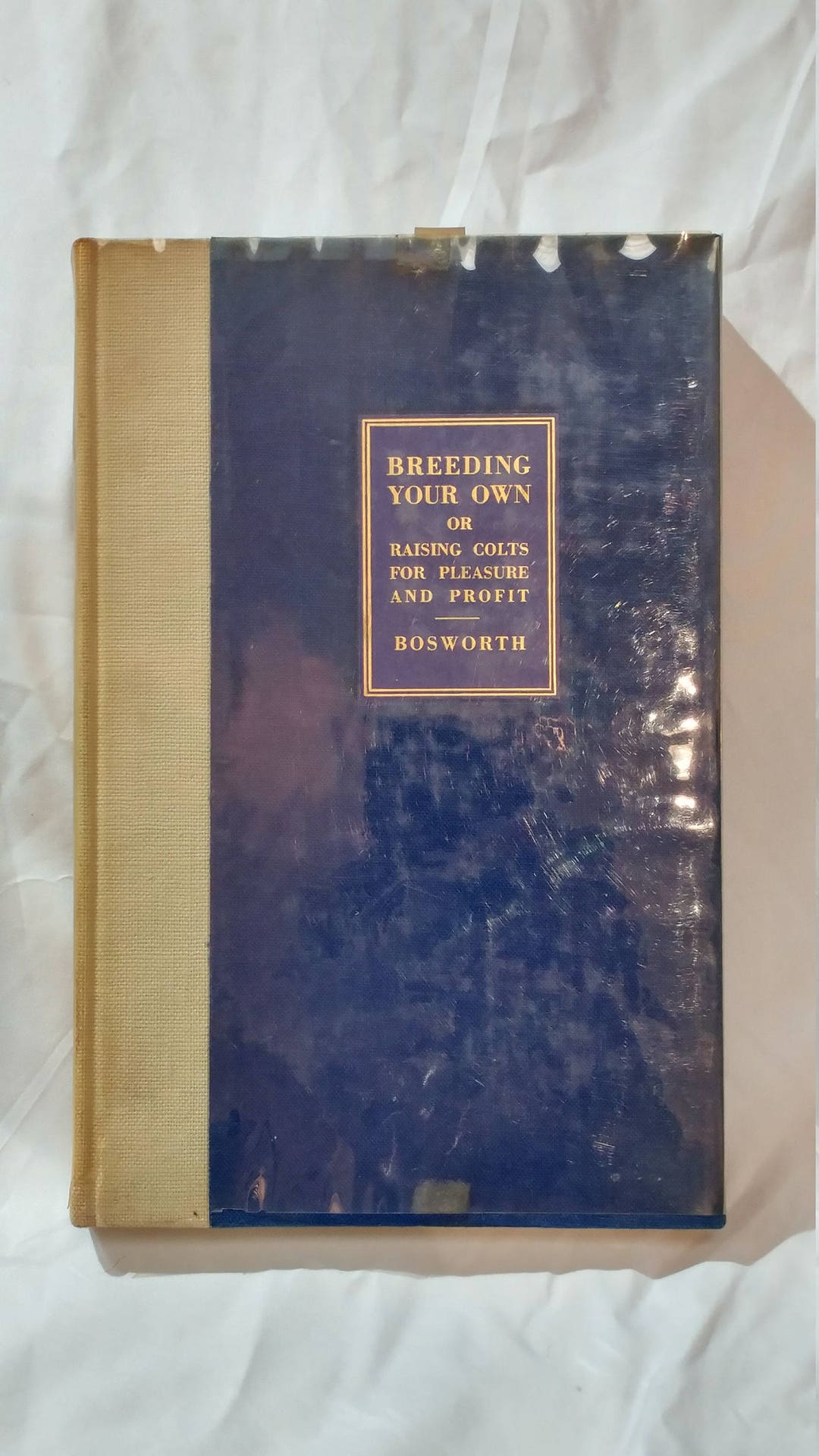 Antique Book - Breeding Your Own or Raising Colts for Pleasure and ...