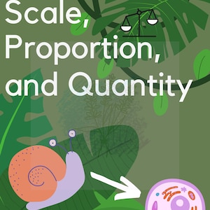 NGSS Cross Cutting Concepts Science Poster - Etsy