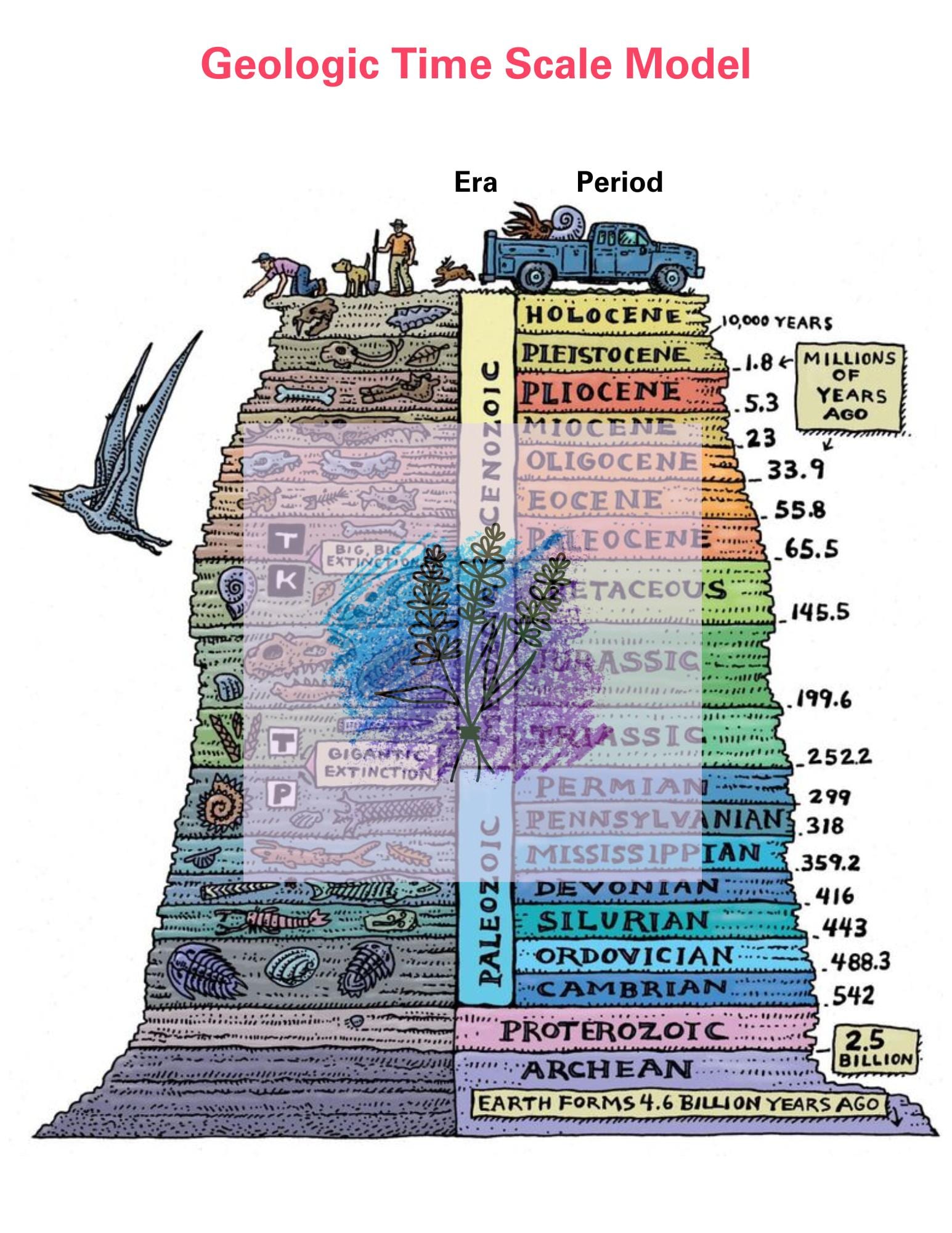 Geological Time Scale (GTS) Instagram Worksheet - Etsy