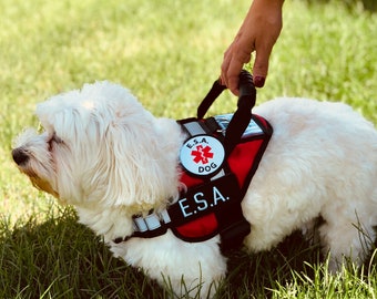 Therapy Dog Cards - Etsy