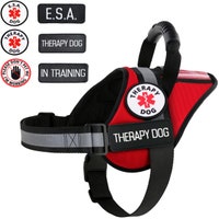 Therapy Dog - Etsy