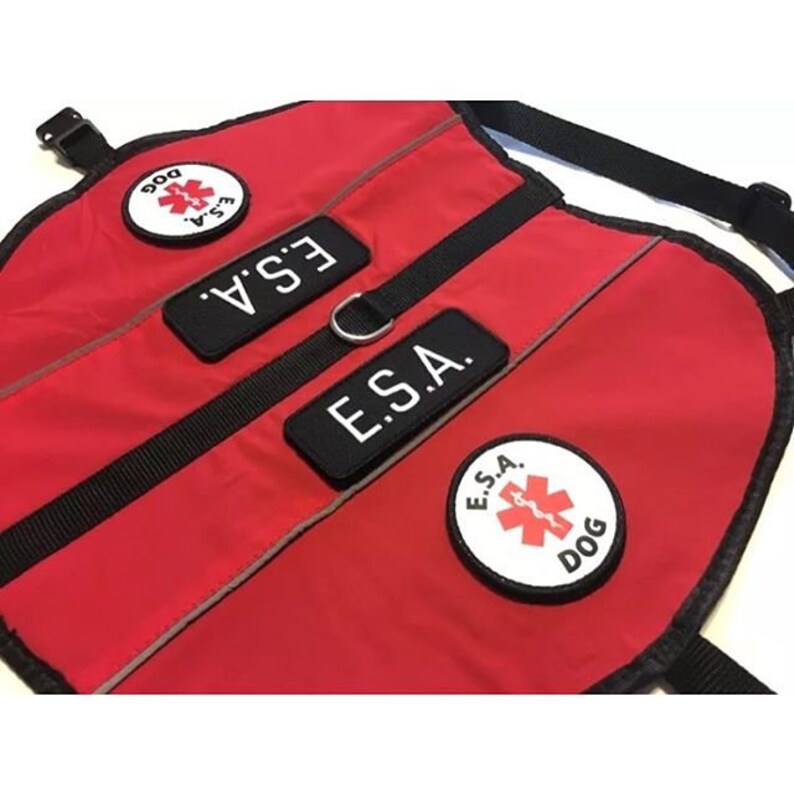 Diy Service Dog Vest Service Dog Gear Premium XX Small And X Small 
