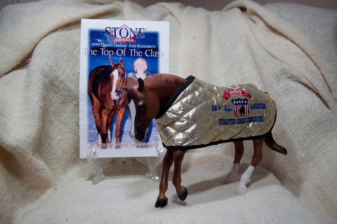 Breyer 1999 Queen Lindsay Ann Roossien's the Top of the Class Quarter ...