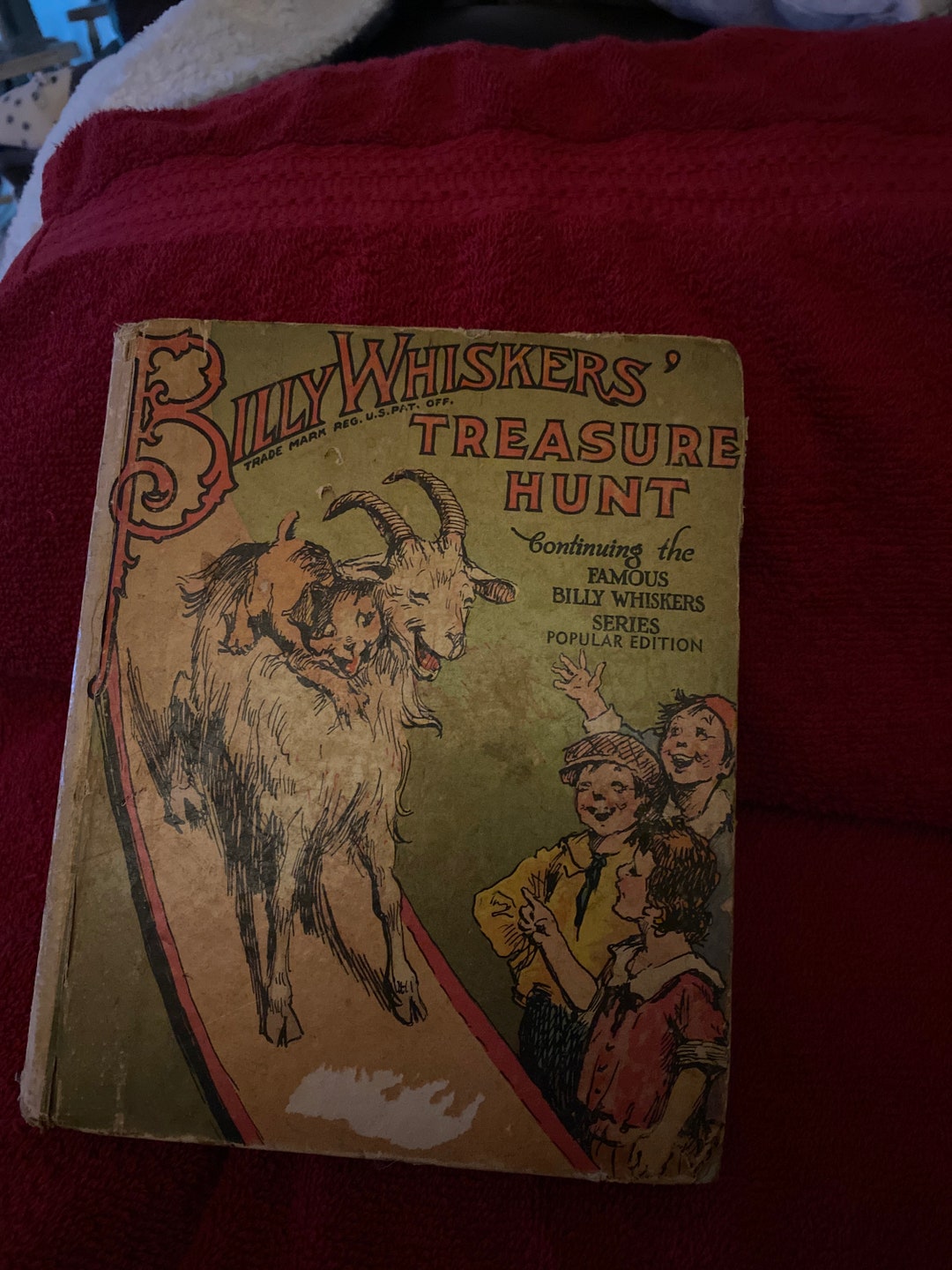 Billy Whiskers Book - Etsy