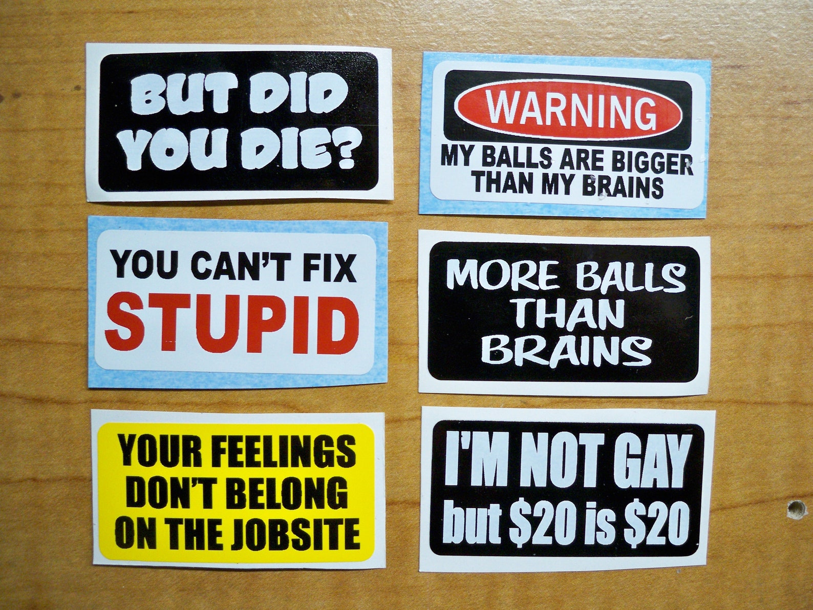 6-pack Funny Hard Hat Stickers | but Did You Die You Cant Fix Stupid ...