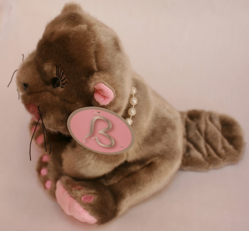 Gray Beaver Bundle: 50th Birthday Gift for Woman, 40th Birthday Gift ...