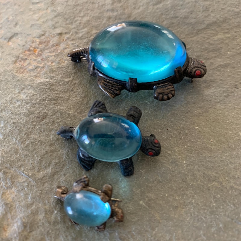 Jelly Belly Turtle - Etsy