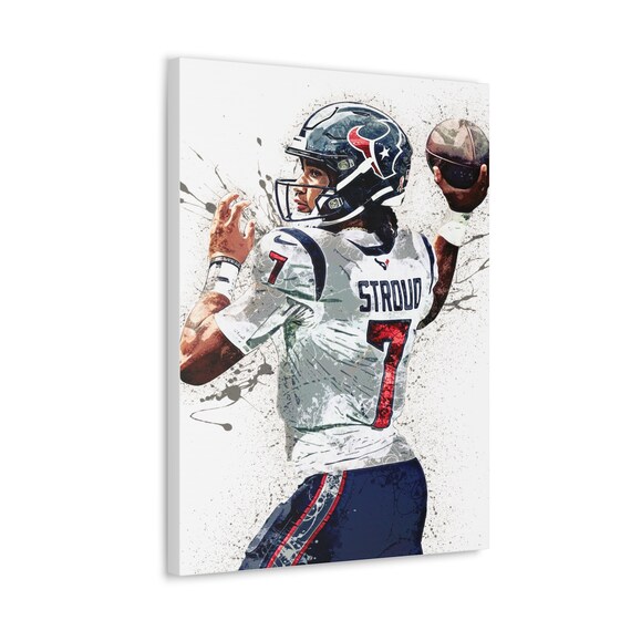 Houston Texans Man Cave Posters Houston Texans Man Cave Decor, Texans