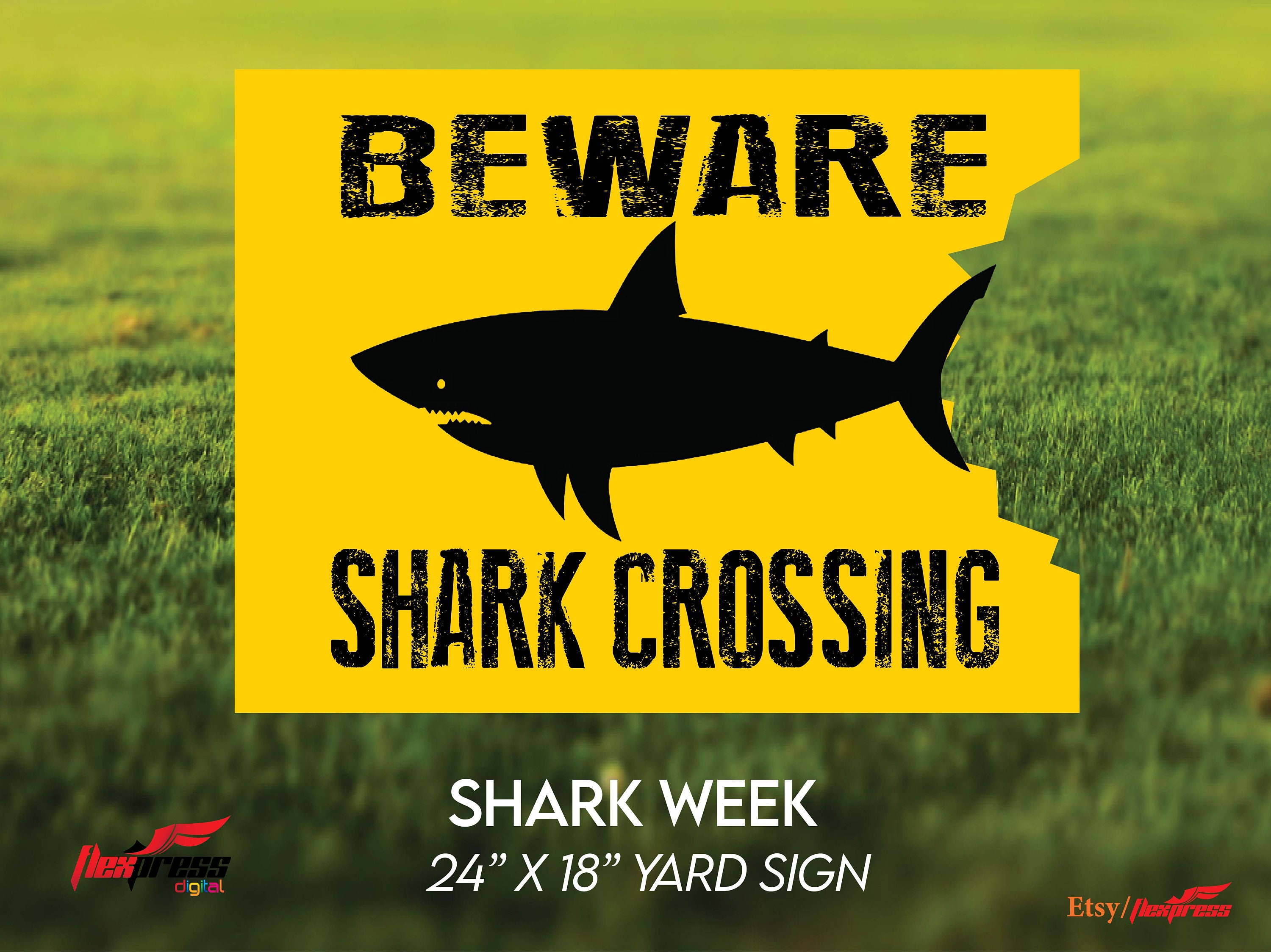 Beware Of Shark Signs