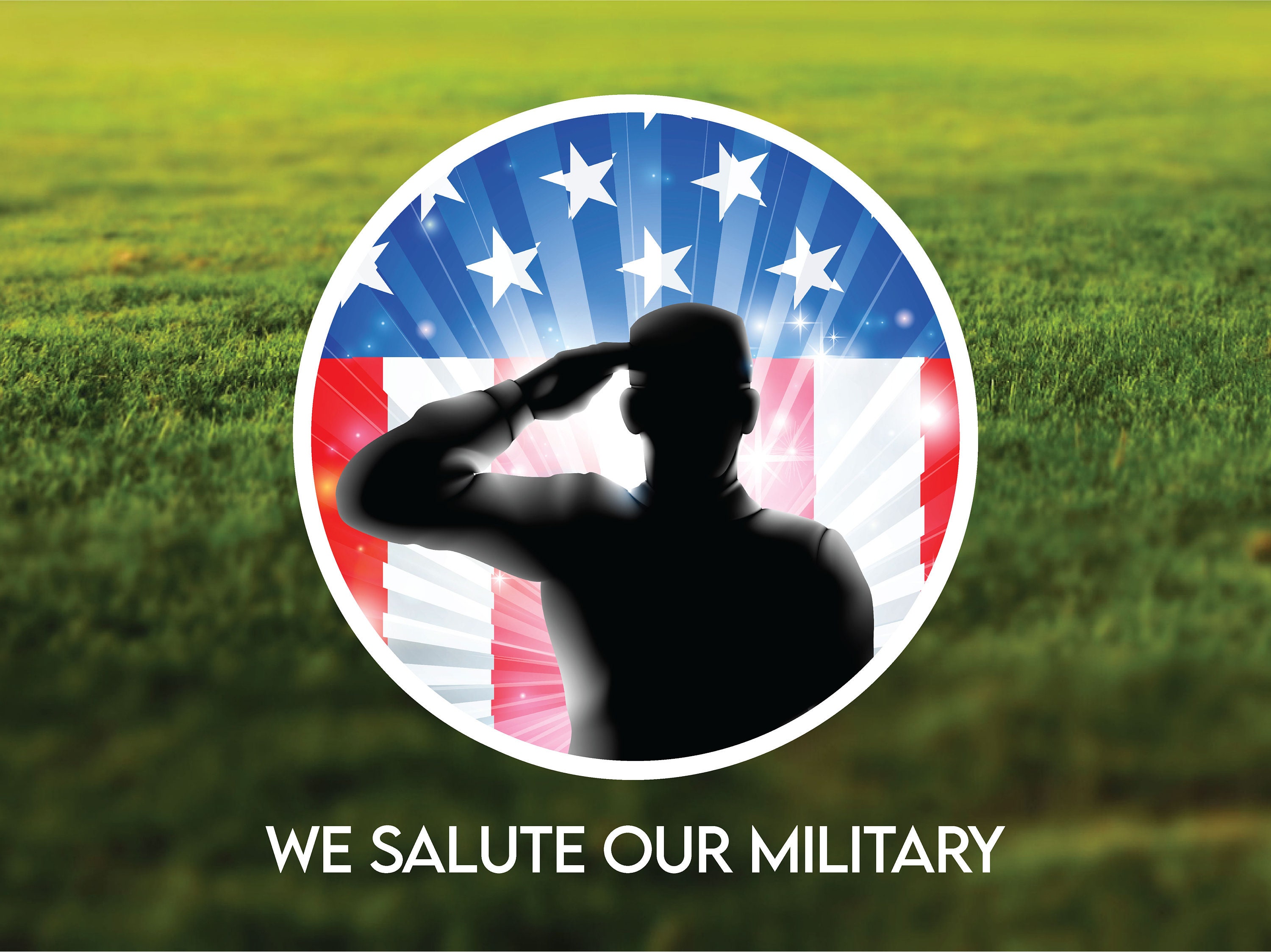 Military Salute Navy