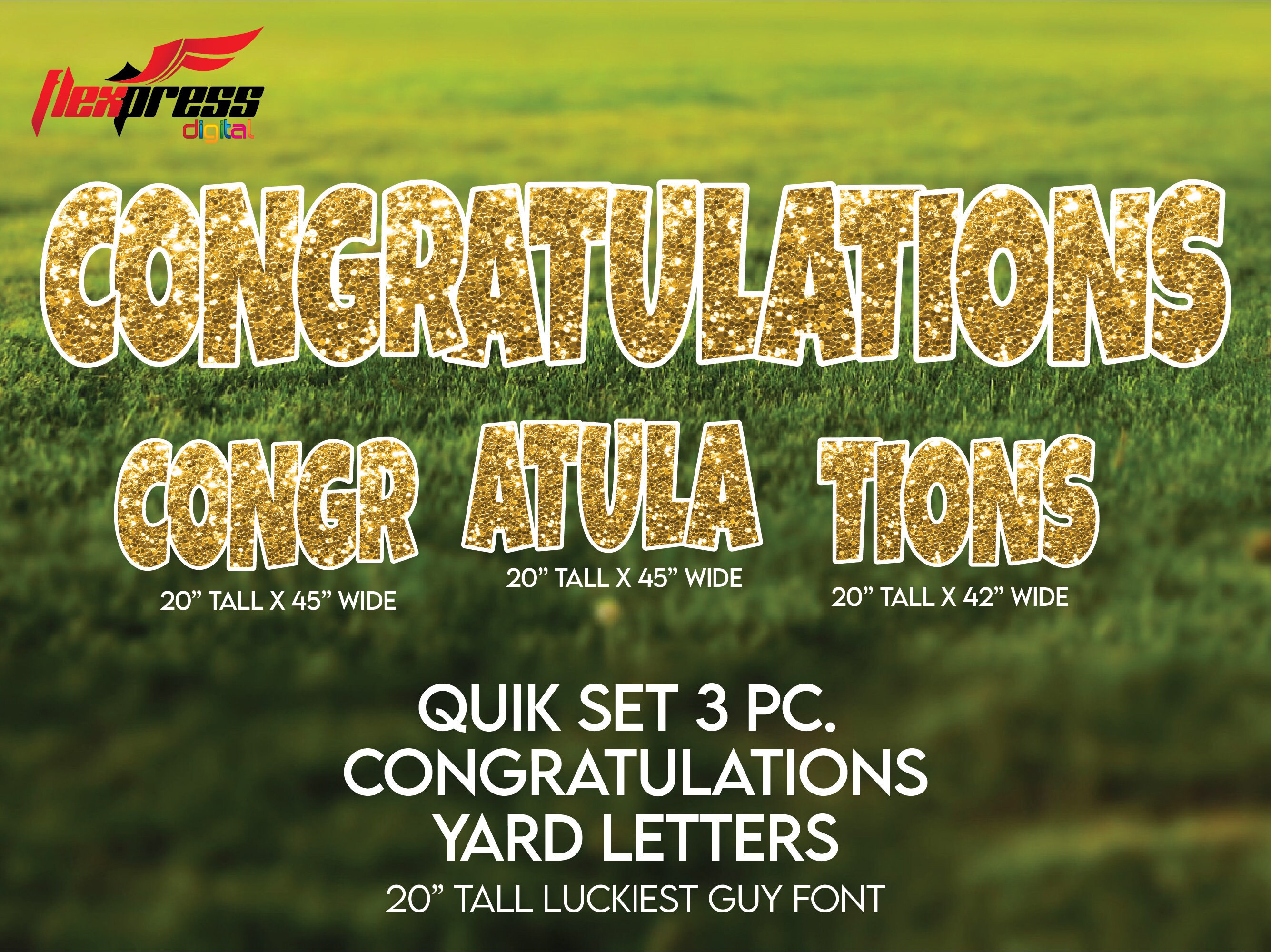 QUICK SET Congratulations | 3 Easy to Place Signs | Congratulations ...