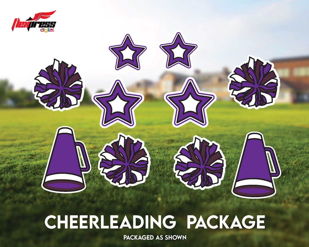Cheerleading Package! Show Your Spirit With Cheer Flair! Megaphone, Pom ...