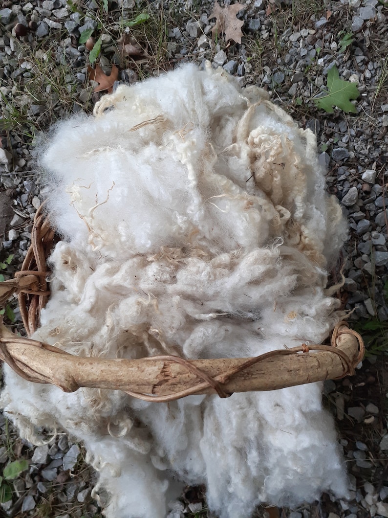 Natural 100% Wool Locks Washed - Etsy