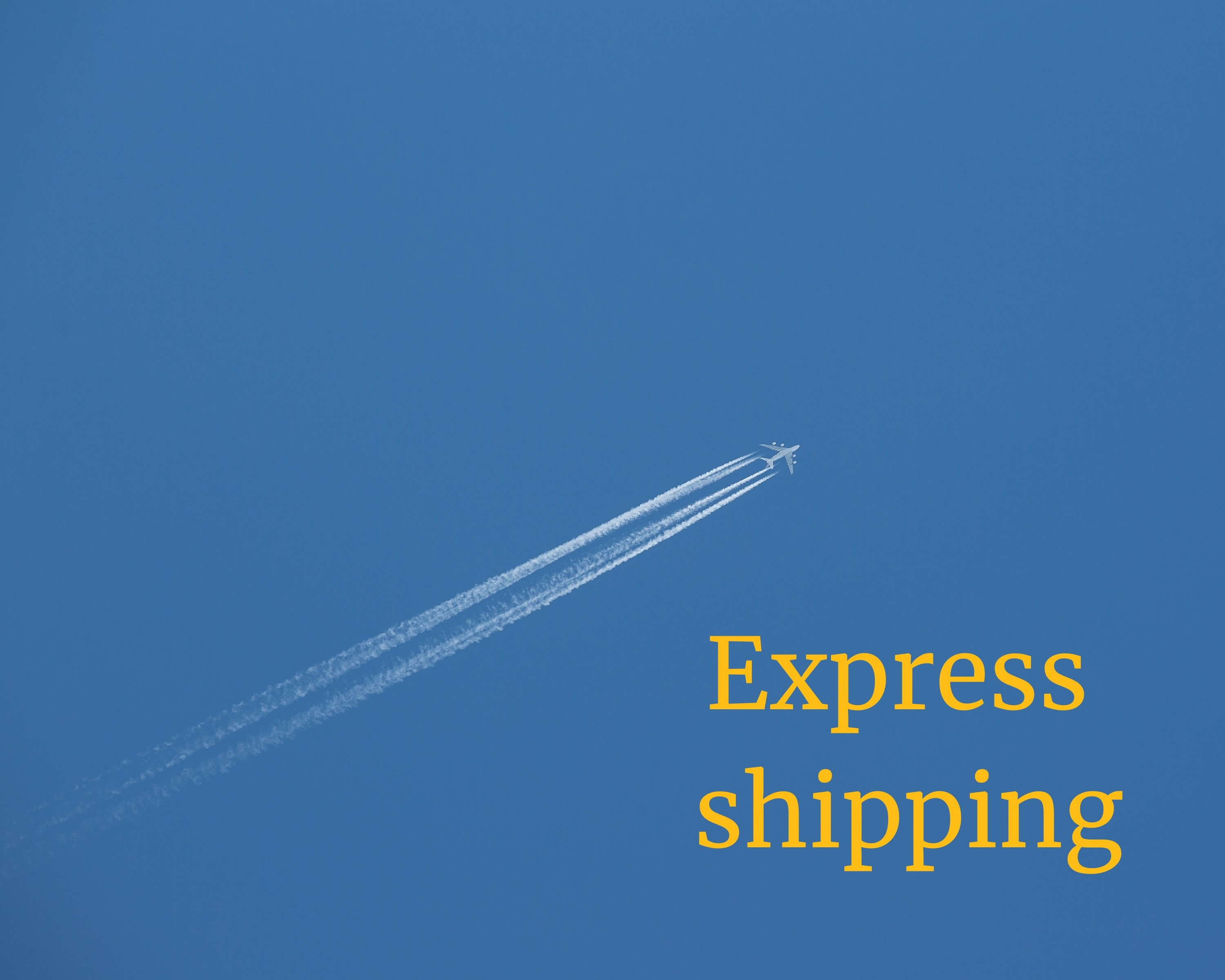 DHL Express Shipping | Etsy