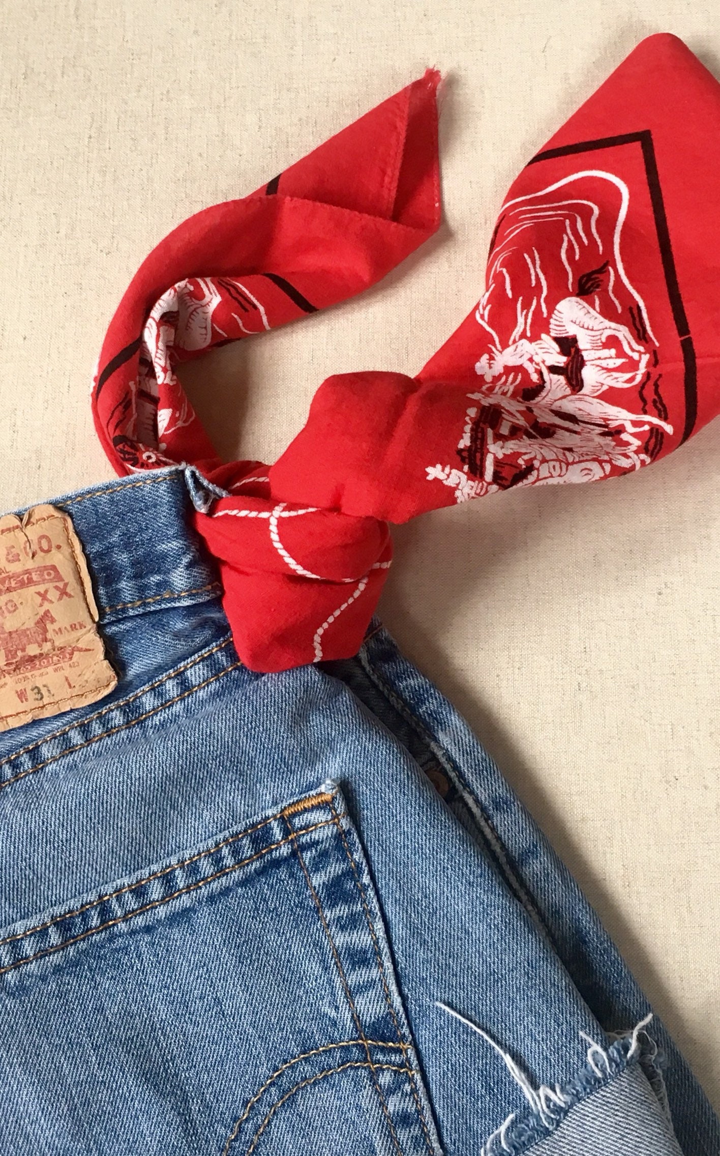 Rodeo Rope
