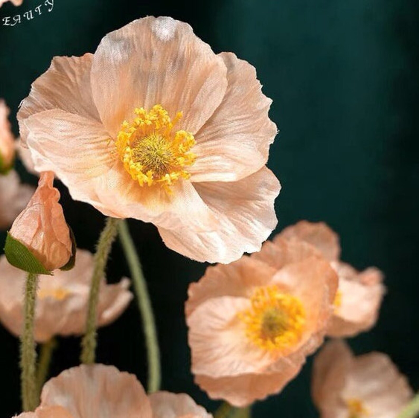 Poppy Sterling Silver Floral Ring With Natural Topaz. Sparkly - Etsy