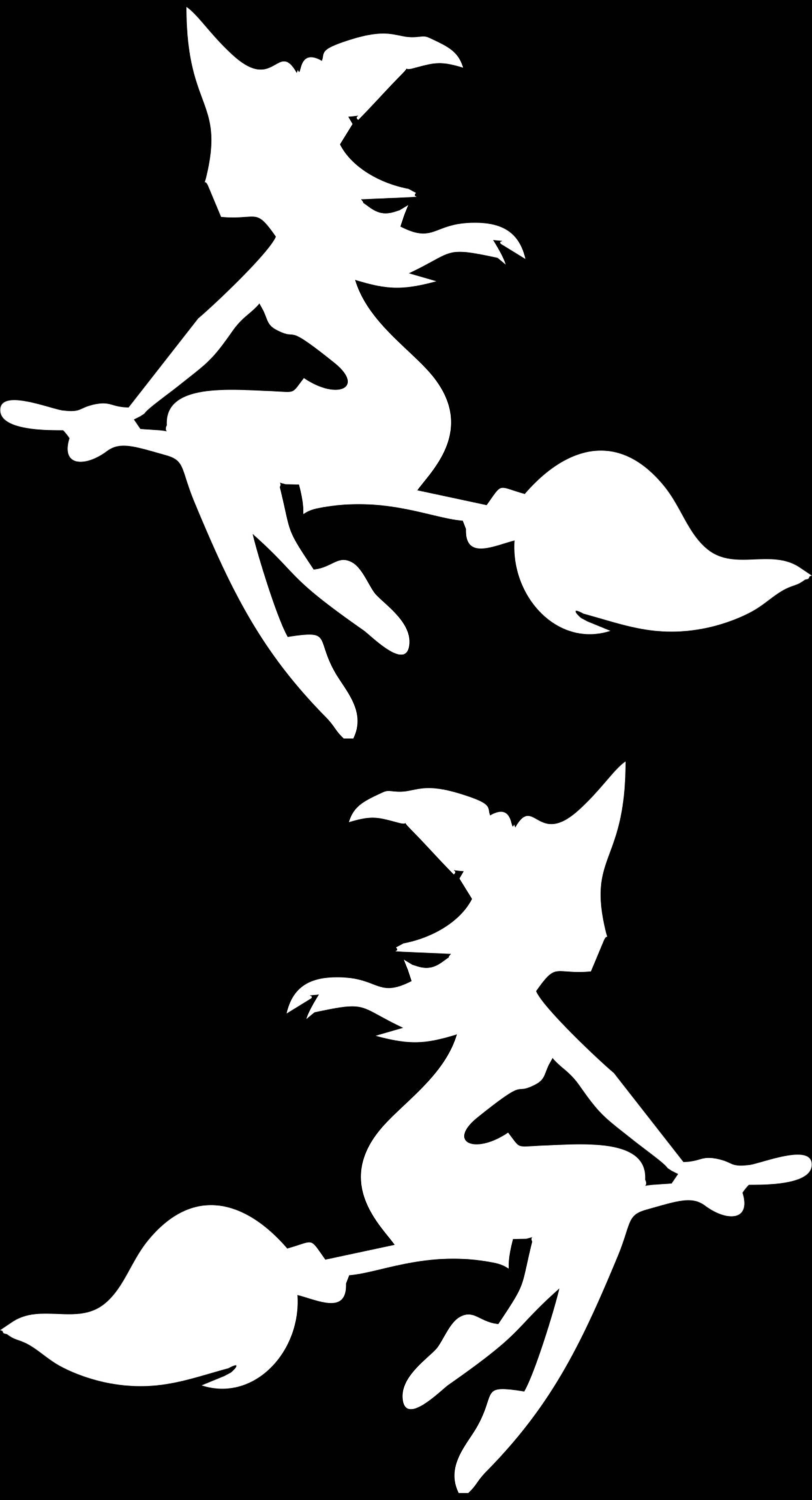 Witch Broom Riding Hag Baba Auto Car Bumper Window Vinyl Decal Sticker ...