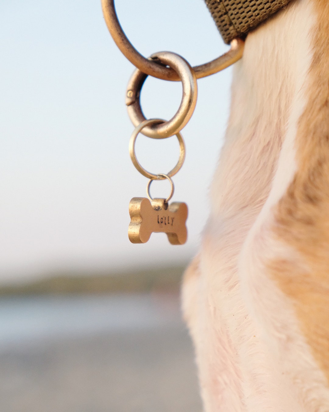 Personalized Hand Stamped Id Dog Tag (stamp Front&back), Brass Bone Tag ...