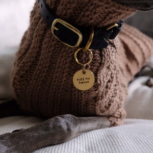 Gold Dog Tag Stamp Front & Back Brass Dog Tag Circle Dog - Etsy