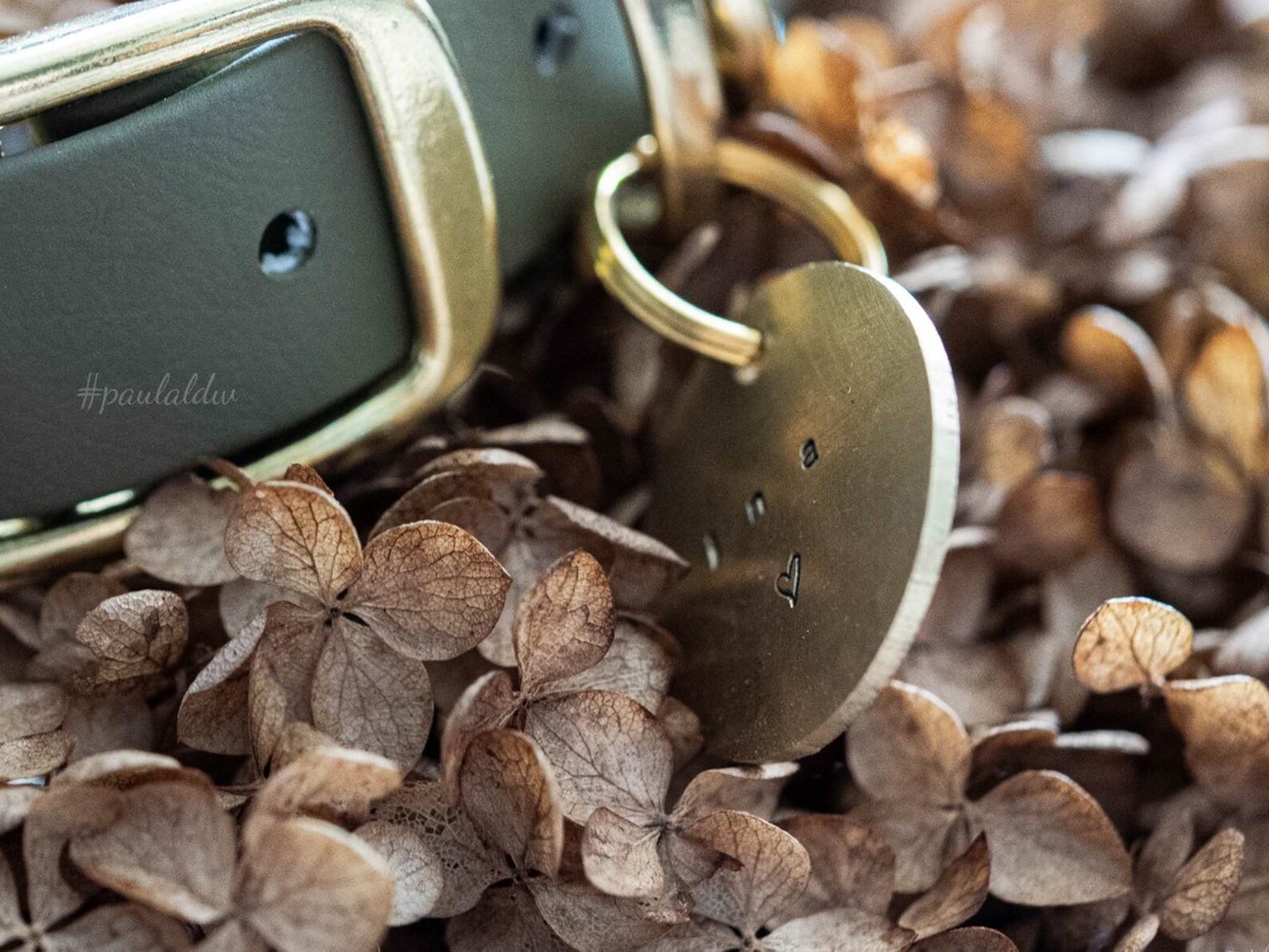 Personalized Dog ID Tag Adventure Dog Tag Hiking Tag | Etsy