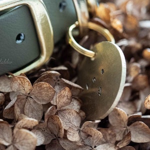 Gold Dog Tag, Stamp Front & Back, Brass Dog Tag, Circle Dog Tag, - Etsy