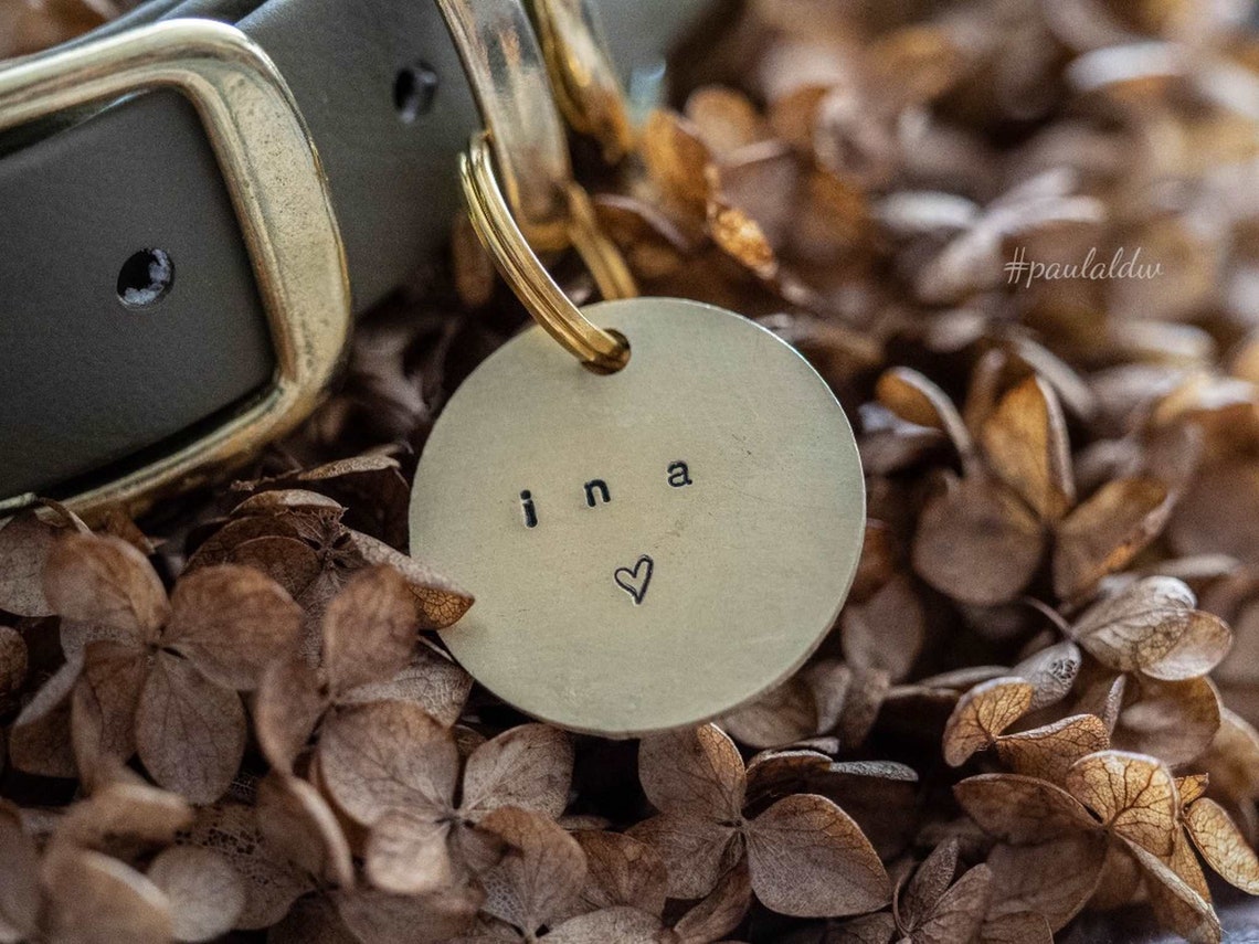 Gold Dog Tag Stamp Front & Back Brass Dog Tag Circle Dog - Etsy