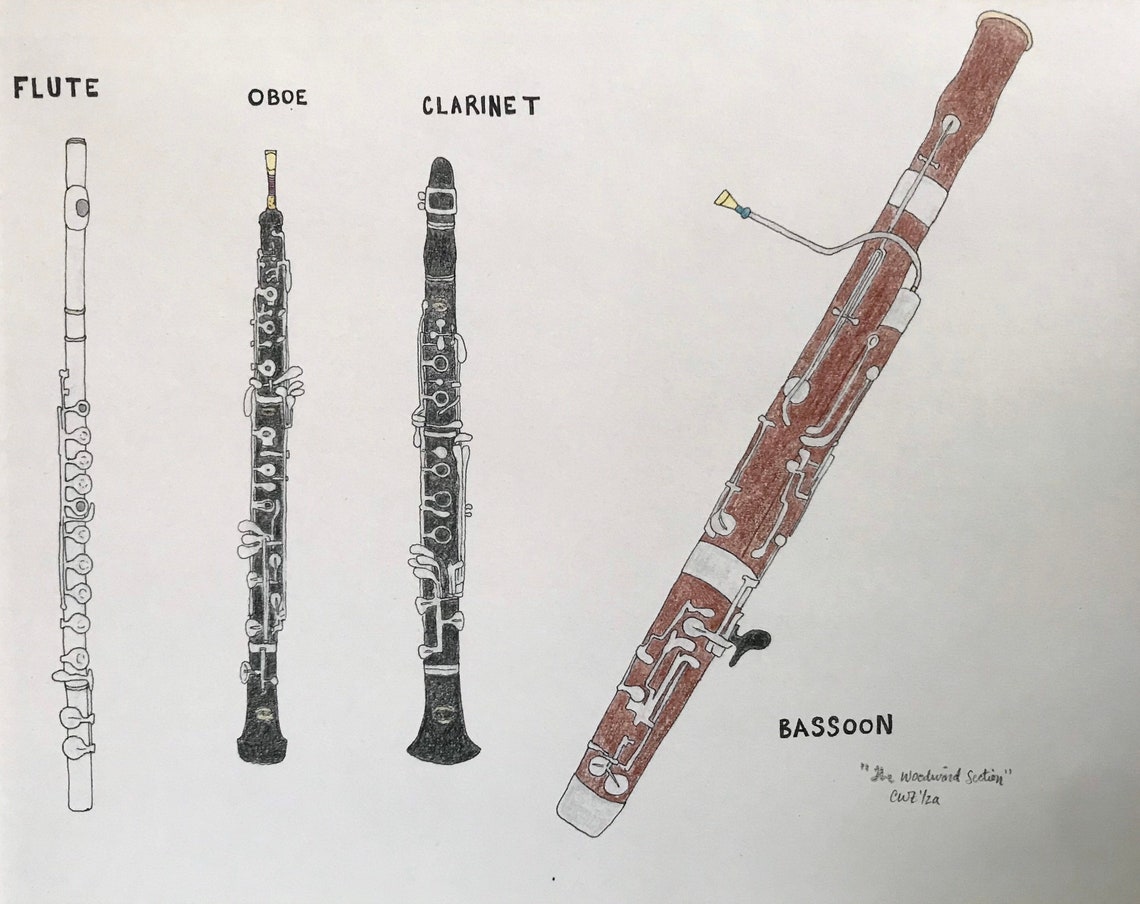 The Woodwind Section = 11 X 14 Inch Musical Illustration Art Print - Etsy
