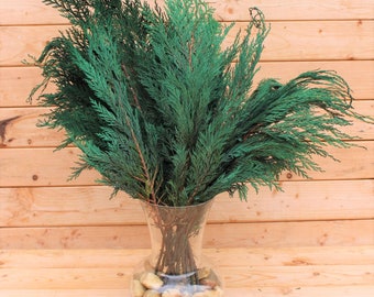 Fresh Cedar Branches Preserved Cedar Preserved Greenery - Etsy