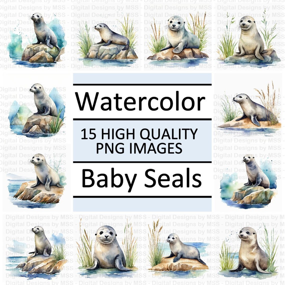 Watercolor Bundle of Baby Seals PNG Set of 15 Files, Digital Watercolor ...