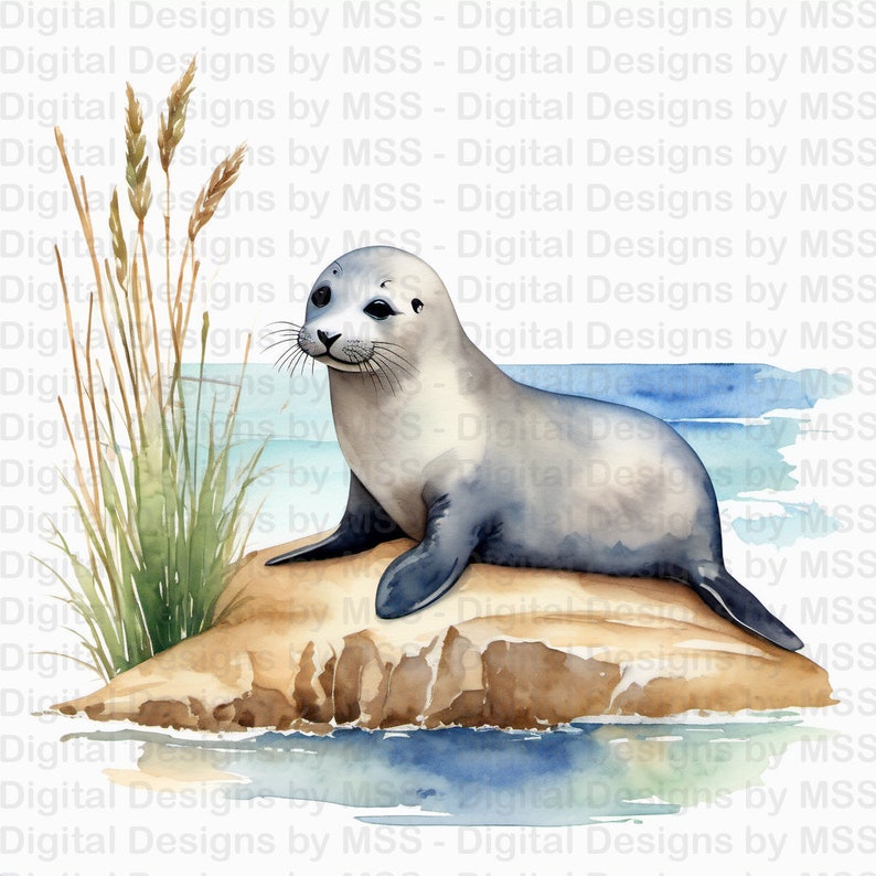 Watercolor Bundle of Baby Seals PNG Set of 15 Files, Digital Watercolor ...