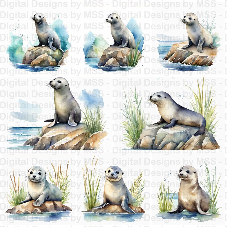 Watercolor Bundle of Baby Seals PNG Set of 15 Files, Digital Watercolor ...
