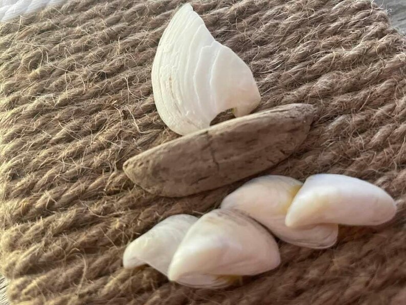 Sailboat Sculpture on Jute Rope With Beach Shells,6x4.5handmade ...