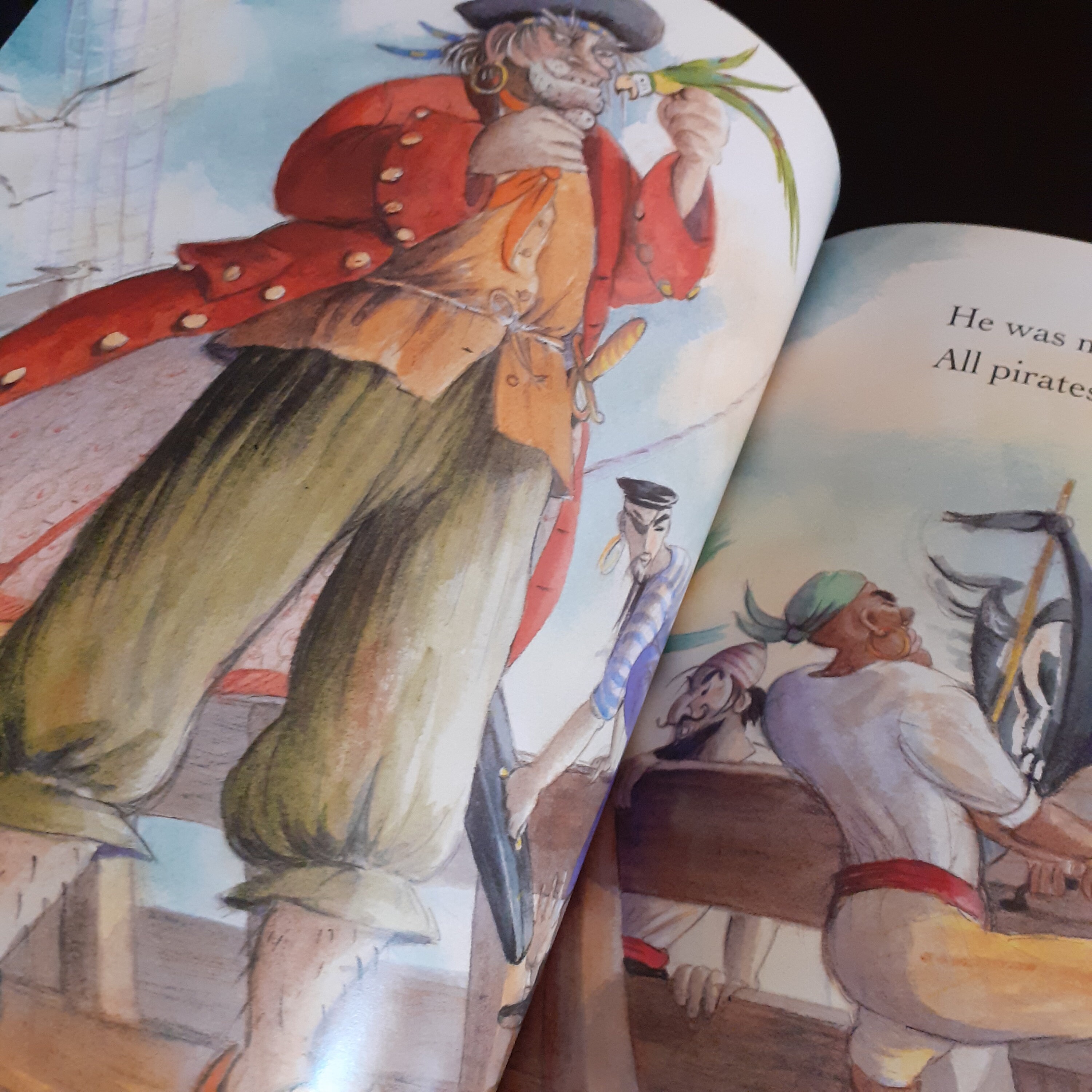 Tough Boris by Mem Fox 1994 Hardcover | Etsy