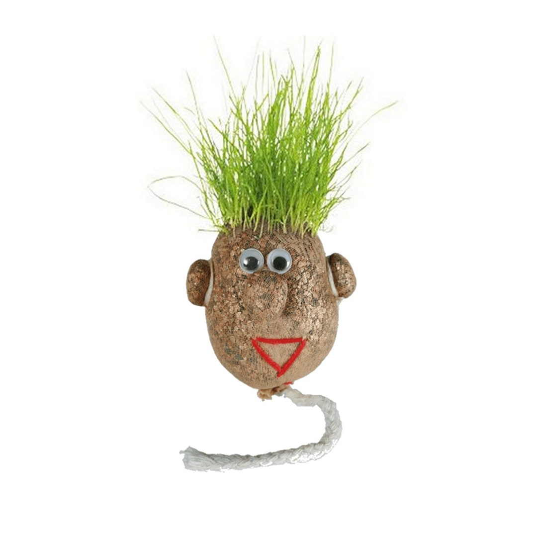 Grass Head Have Fun Growing His Hair in Grass a Natural and Original ...