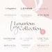 Fonts, Font Bundle for Logo Design, Logo Design, Logo Design Custom ...