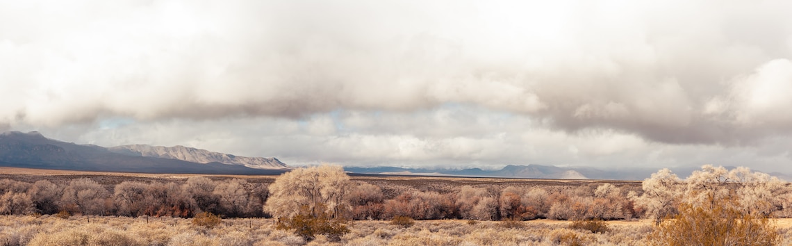 Nevada Desert Sunset, Nevada Desert Photography, Travel Photography ...