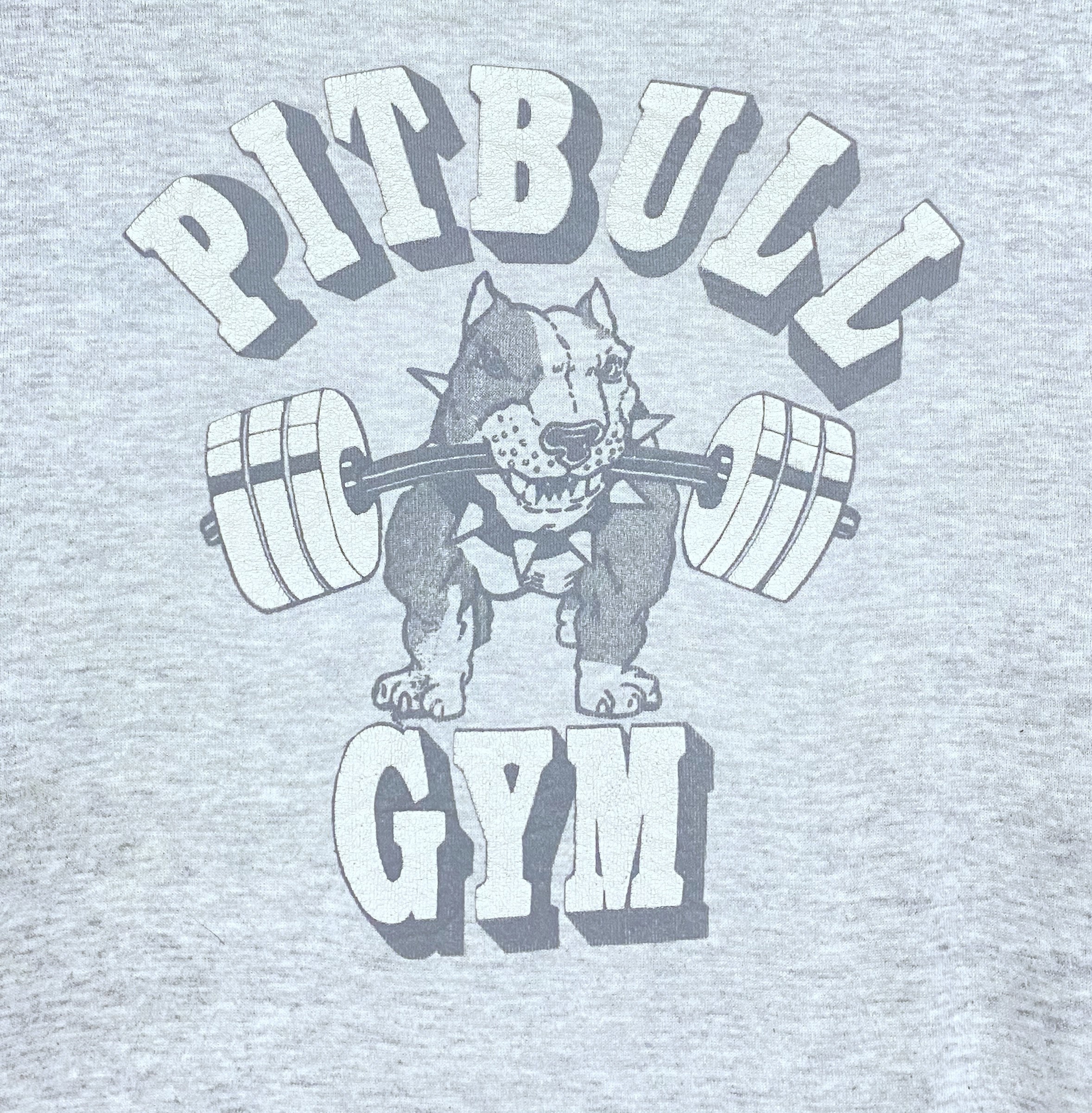 Vintage Pitbull Dog Gym Crewneck Big Logo Sweatshirt Grey Colour - Etsy