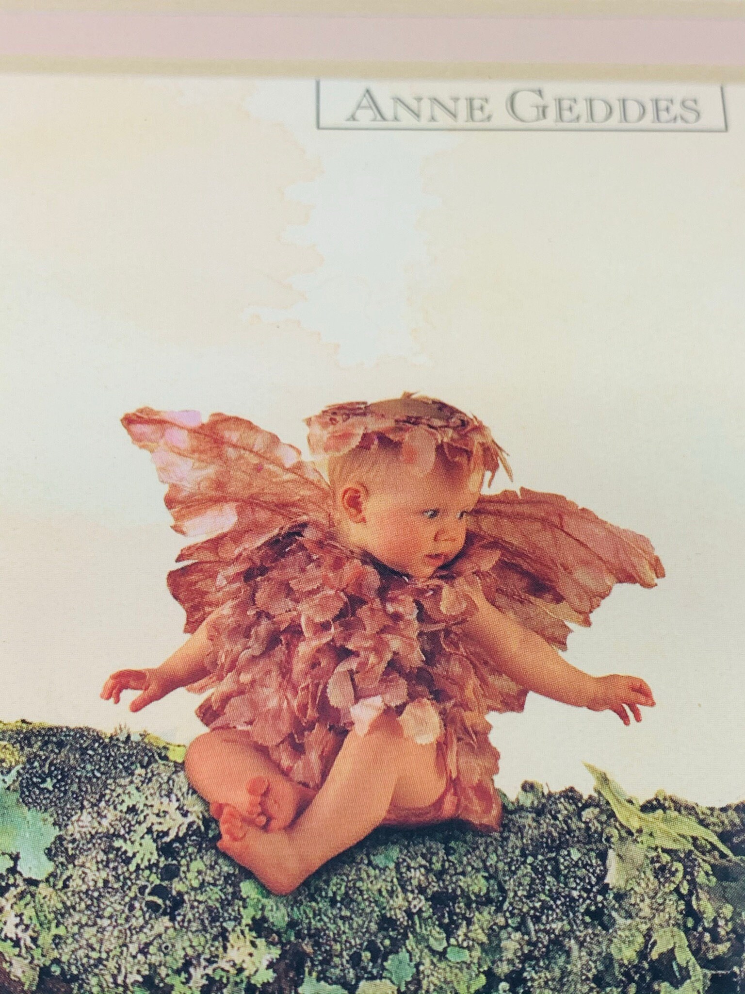Anne Geddes Prints Baby Flowers and Fairies So Sweet Shabby | Etsy